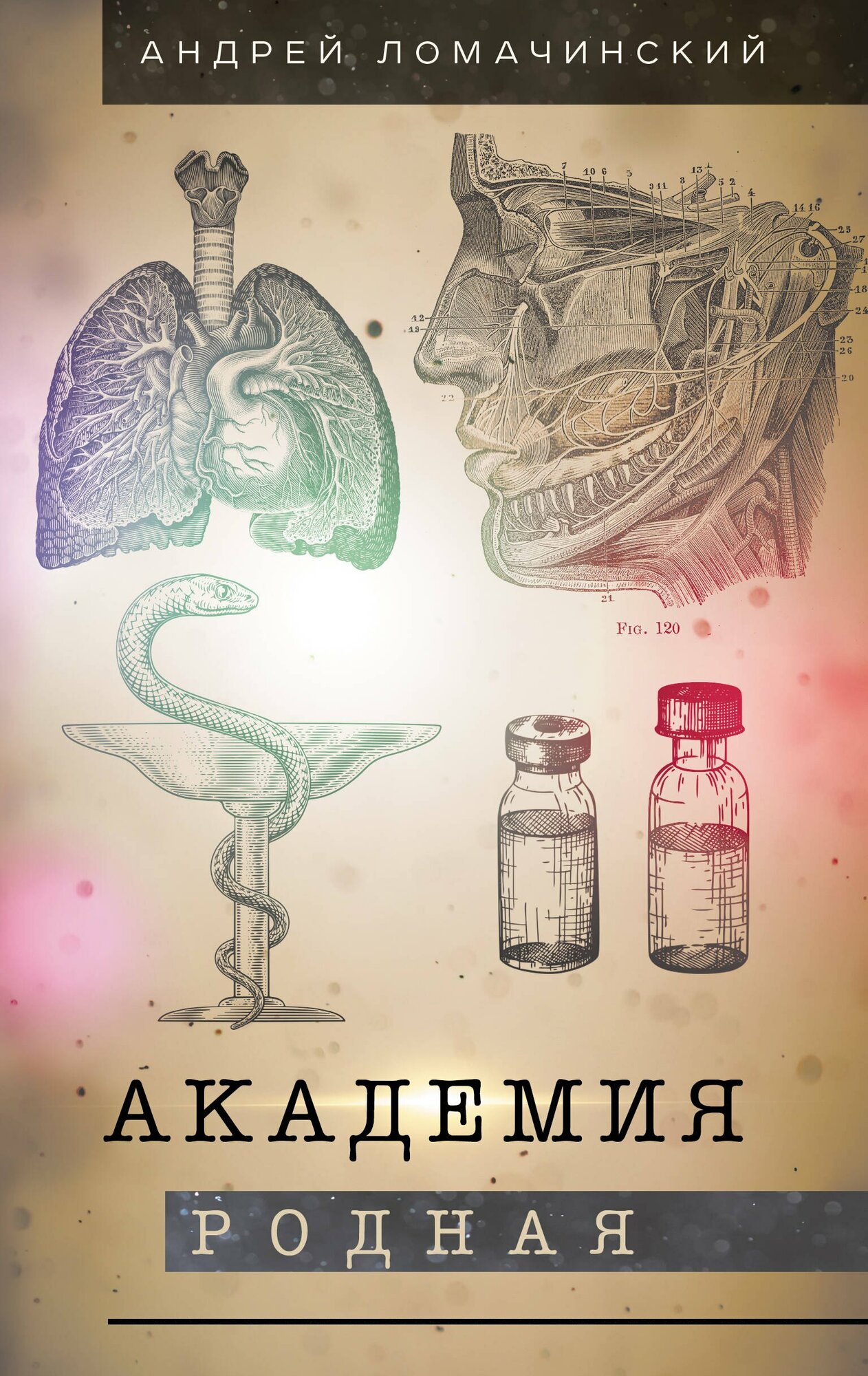 Академия родная (Андрей Ломачинский)