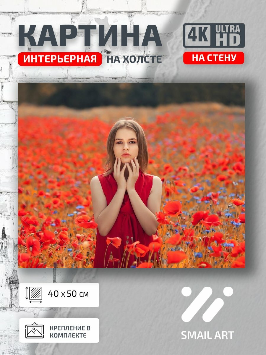 Картина на холсте интерьерная 40 на 50 на стену Маки Landscape для кафе пейзаж интерьер