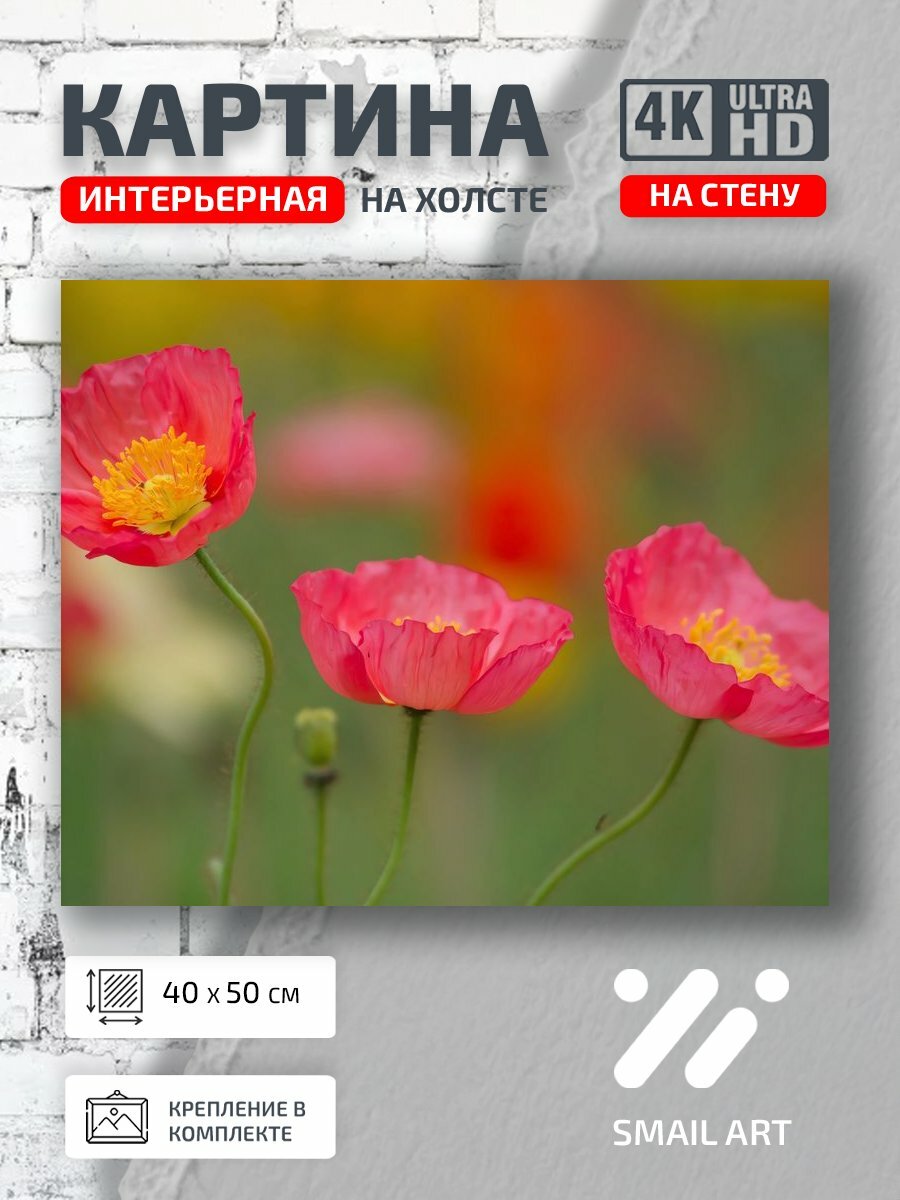Картина на холсте интерьерная 40 на 50 на стену Поляна Landscape для офиса пейзаж интерьер