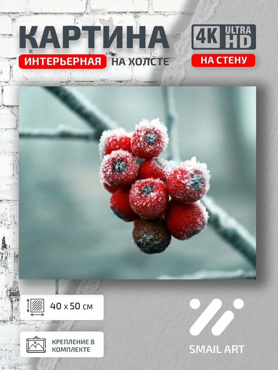 Картина на холсте интерьерная 40 на 50 на стену Ветка Food для офиса кулинария интерьер