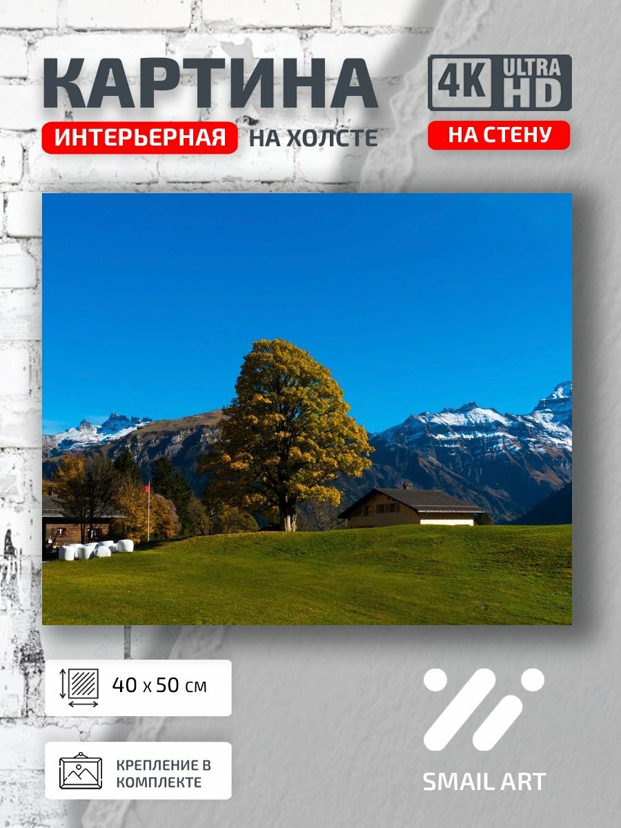 Картина на холсте интерьерная 40 на 50 на стену Горы Landscape для гостиной пейзаж интерьер