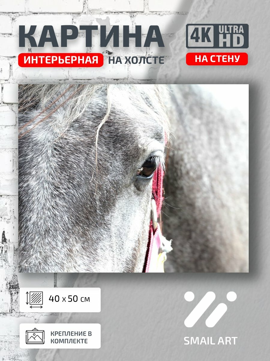 Картина на холсте интерьерная 40 на 50 на стену Лошадь Animal для кафе animal style декор