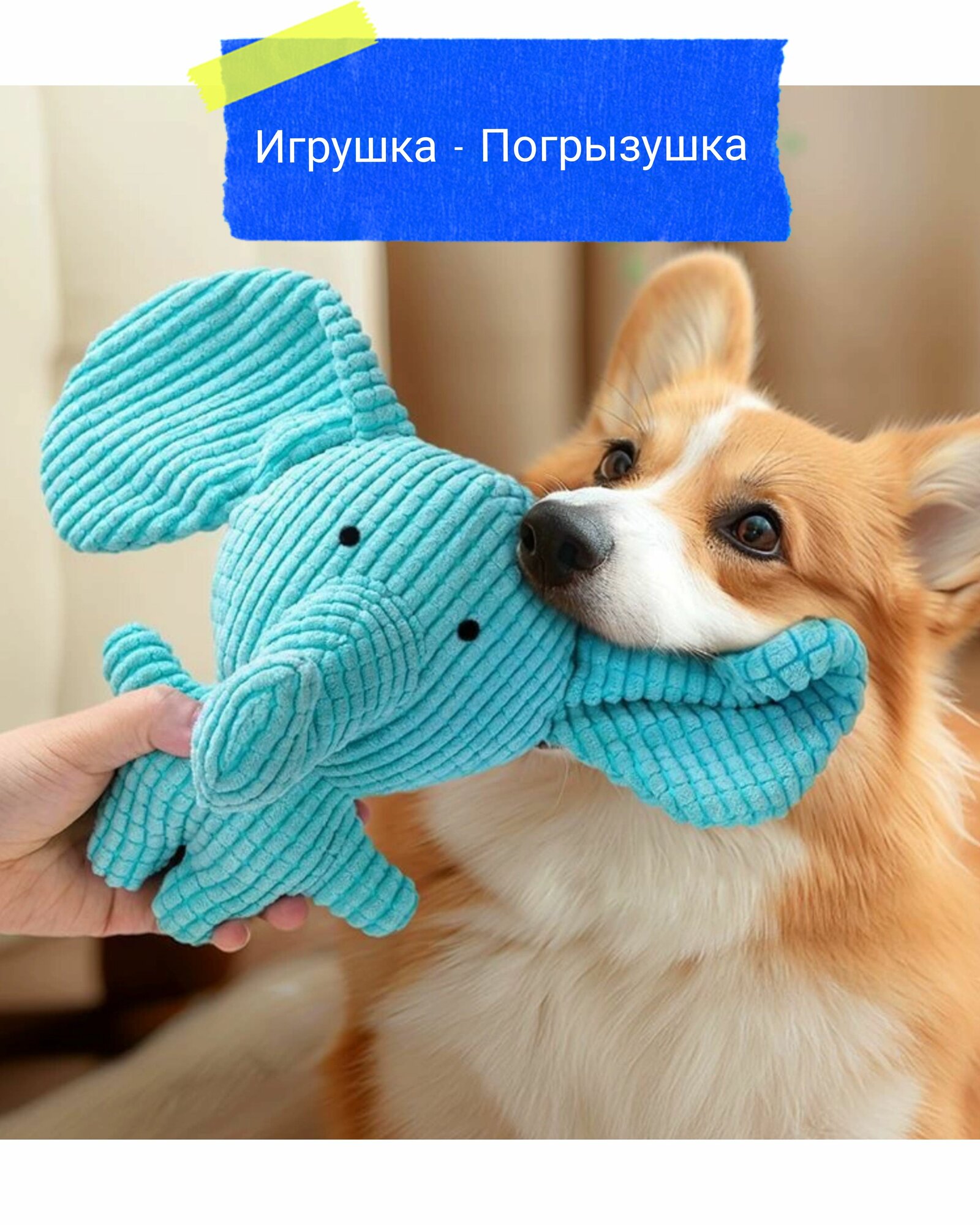 Игрушка слоник для щенков и собак мелких и средних пород / пищит и чистка зубов