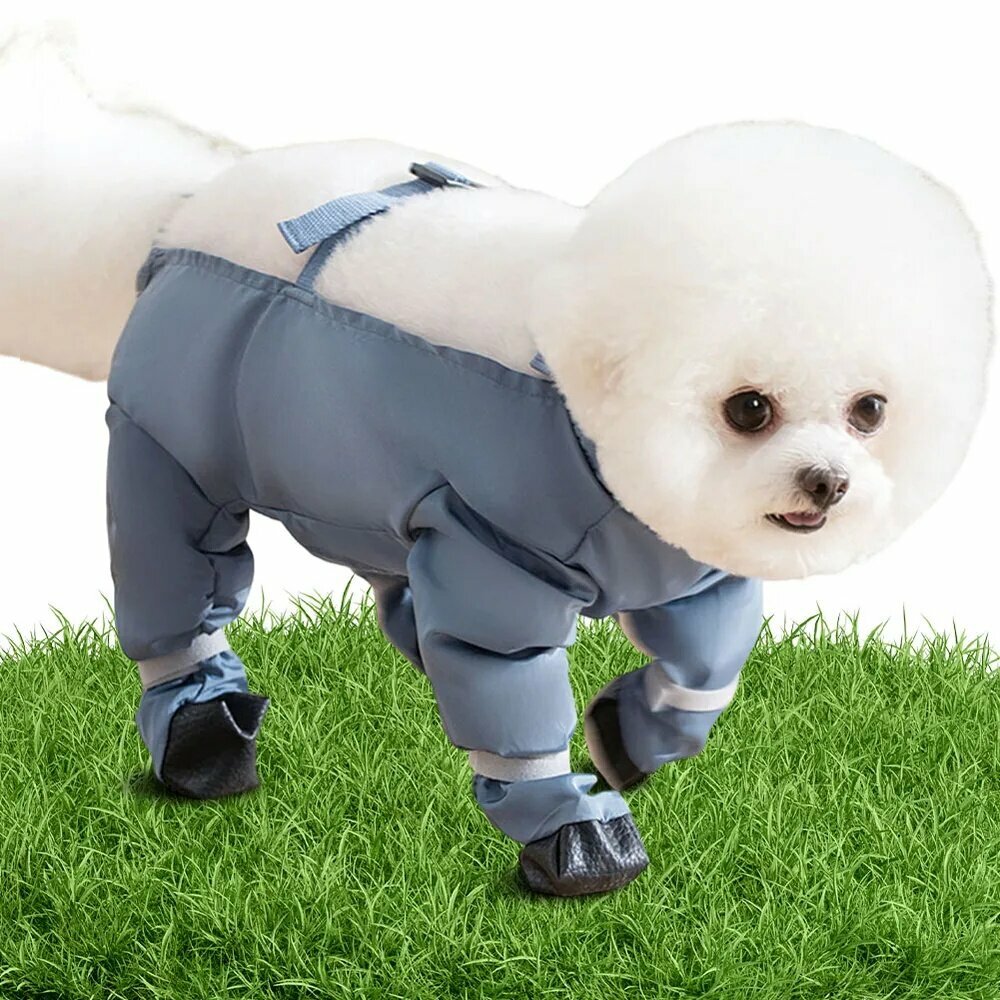 Ботинки для собак с подтяжками, защита от грязи, со шлейкой для мелких и средних пород