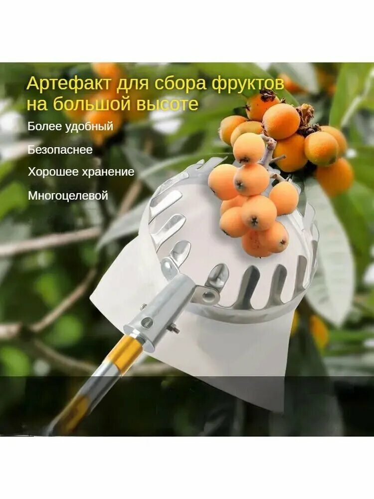 Плодосборник,100х5см — фото 1