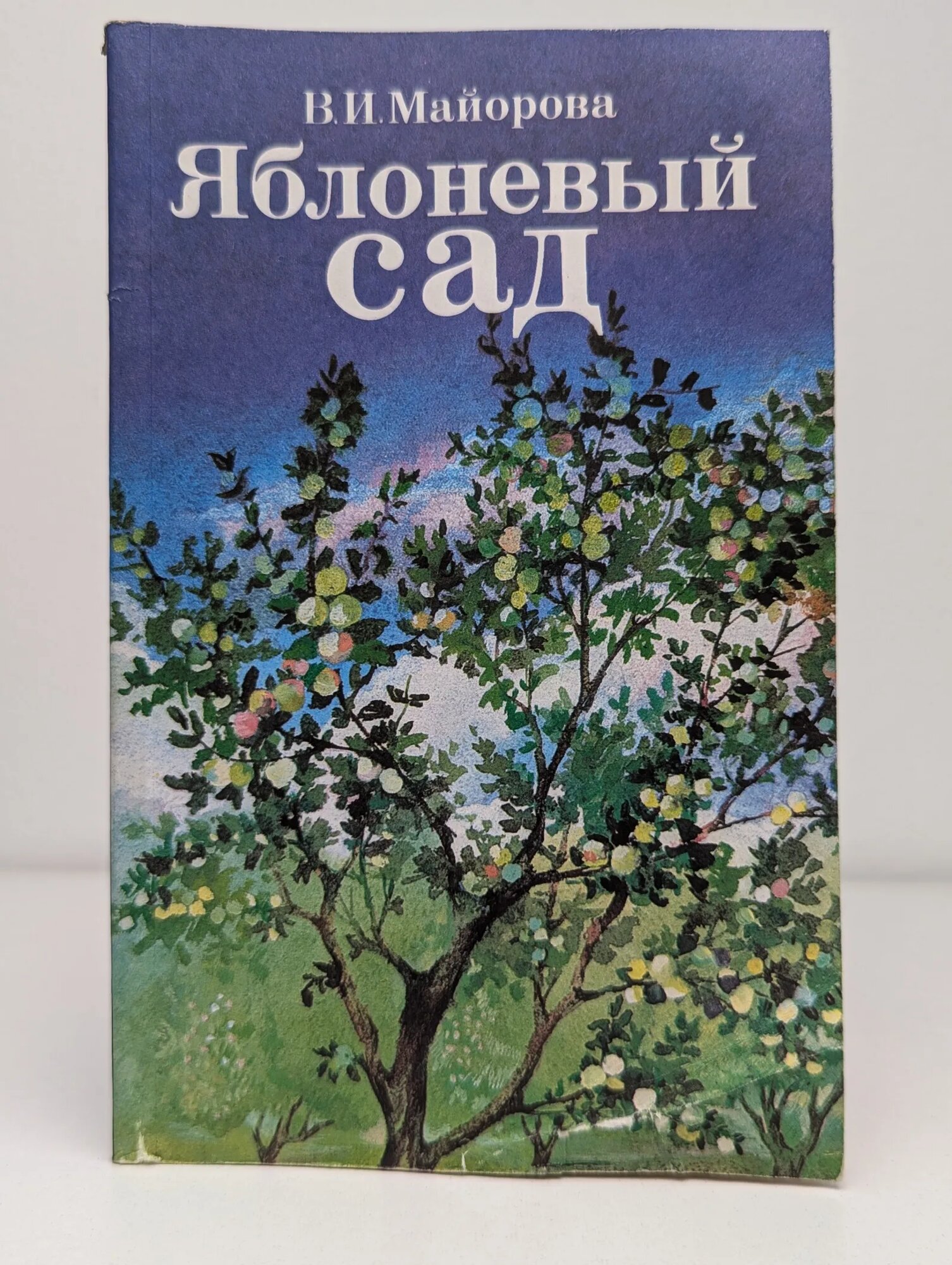 Яблоневый сад Майорова Валентина Ильинична 1990