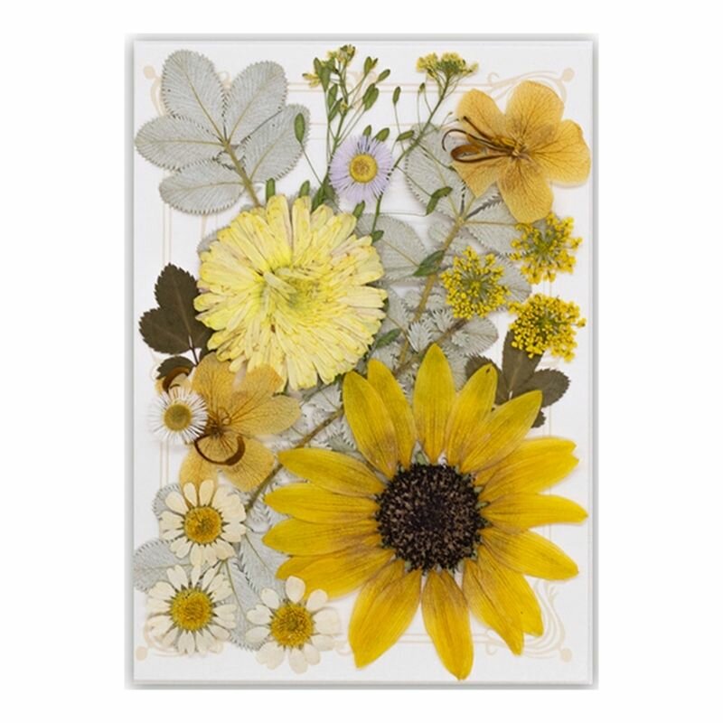 Материал Для Гербария Из Настоящих Цветов-Серия Tumi Type C