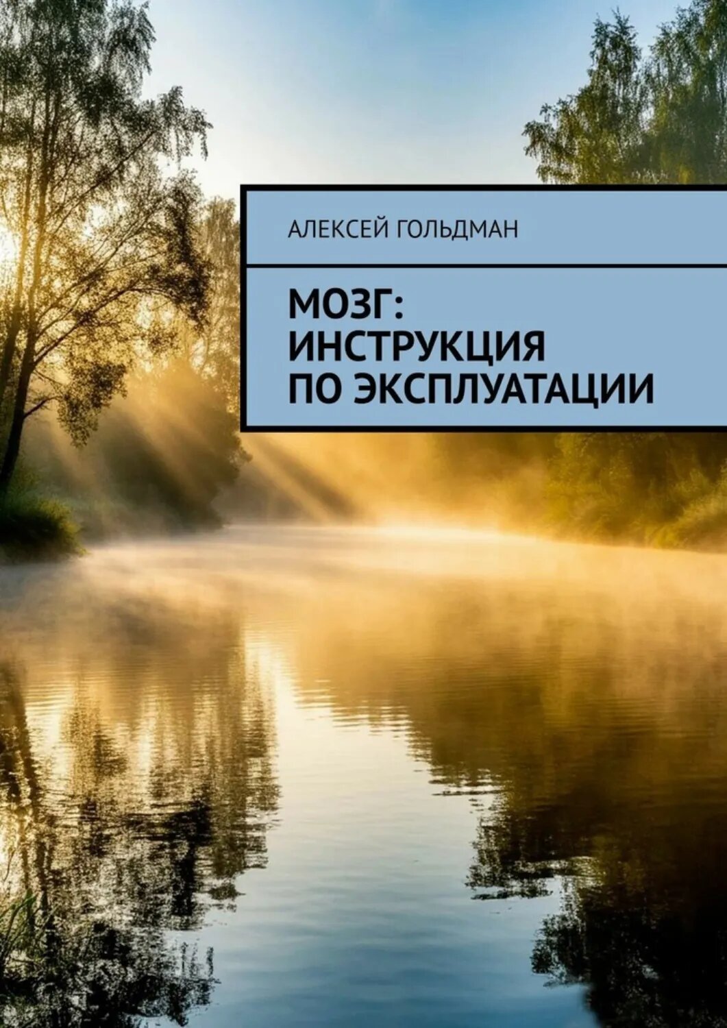 Мозг: Инструкция по эксплуатации [Цифровая книга]