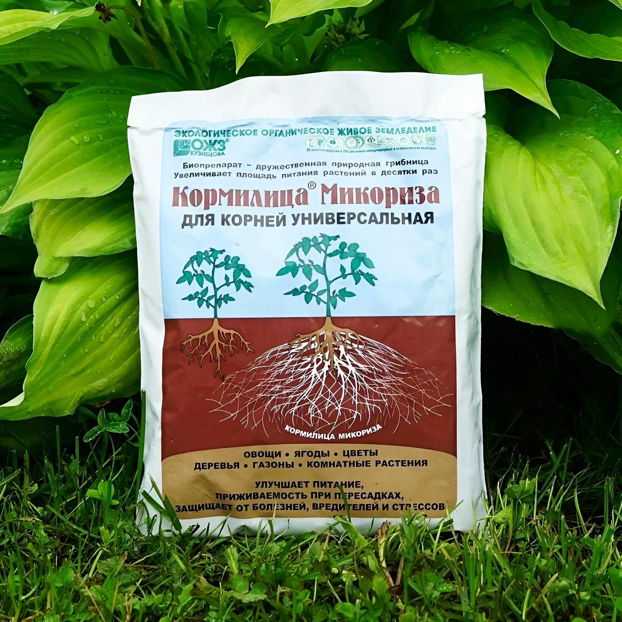 Микориза Кормилица, 30 г