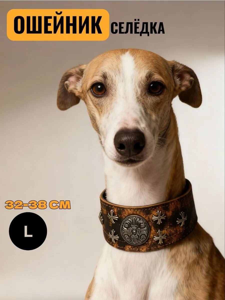 Dogbond ошейник-селедка для малых и средних пород