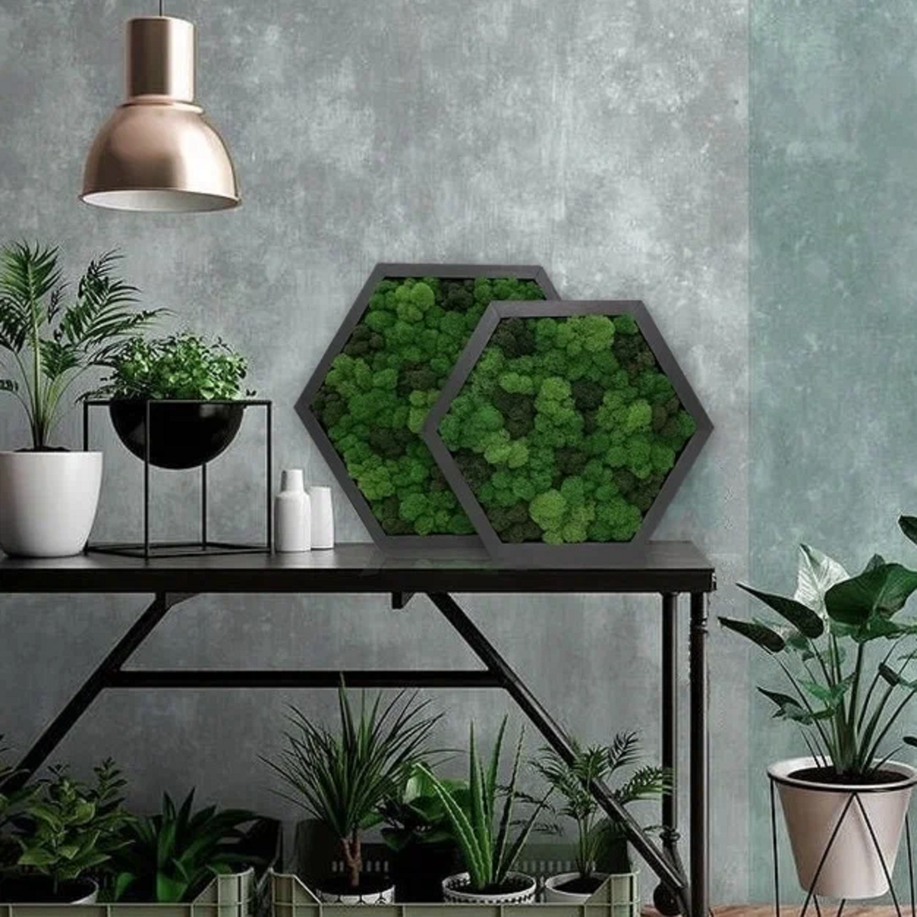 Сота/панно "3 Ягеля" со стабилизированным мхом Ягель, Графит, 47*41 см.