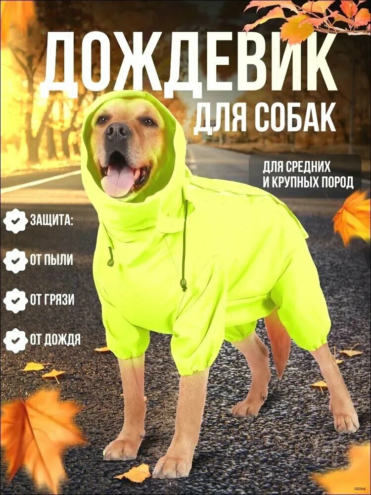 Дождевик для собак средних и крупных пород