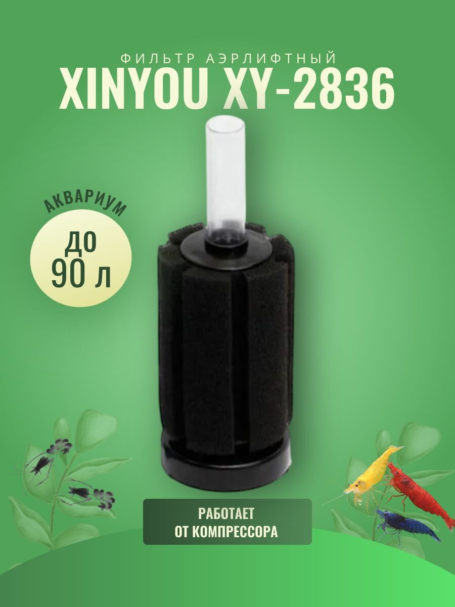 Фильтр аэрлифтный с круглым основанием, Xinyou XY-2836