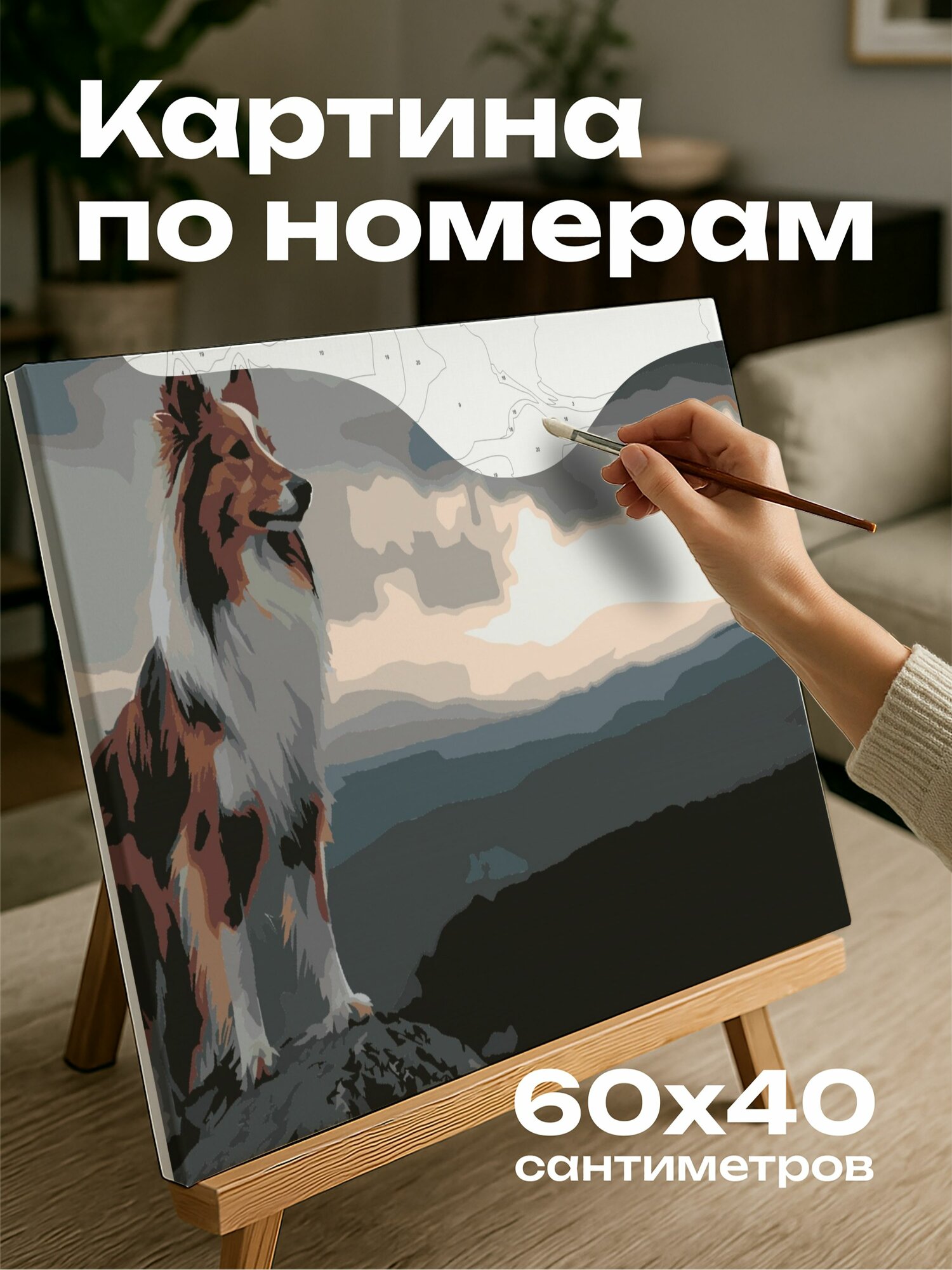 Картина по номерам 60x40 см, колли, скалистый утес, ландшафт, осанка, выражение лица, защитные инстинкты, освещение, f