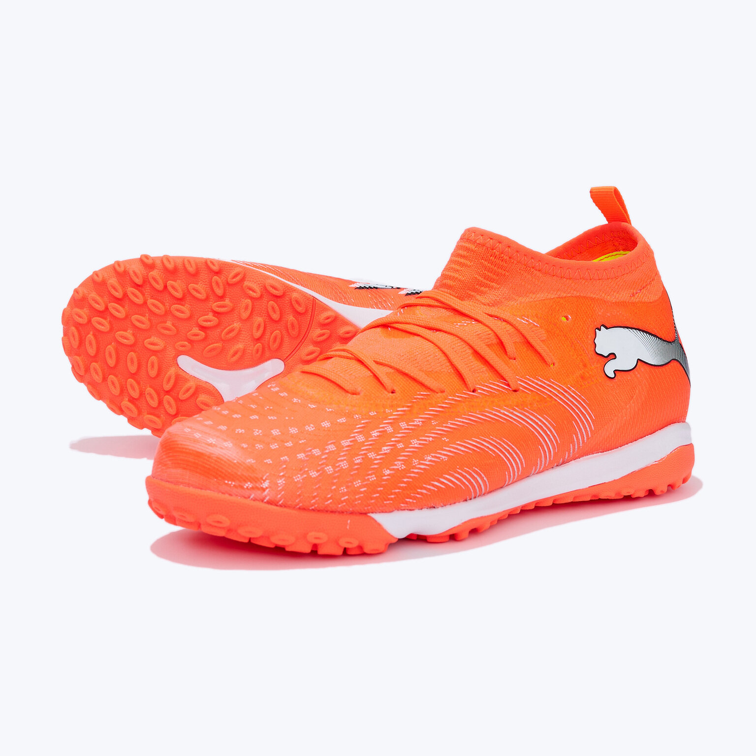 Сороконожки