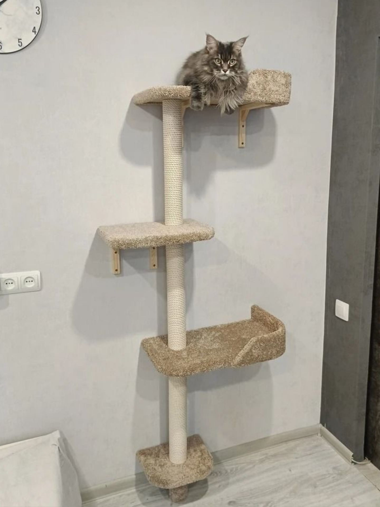 Когтеточка для кошек, игровой комплекс Моя Котя «От винта!», цвет бежевый