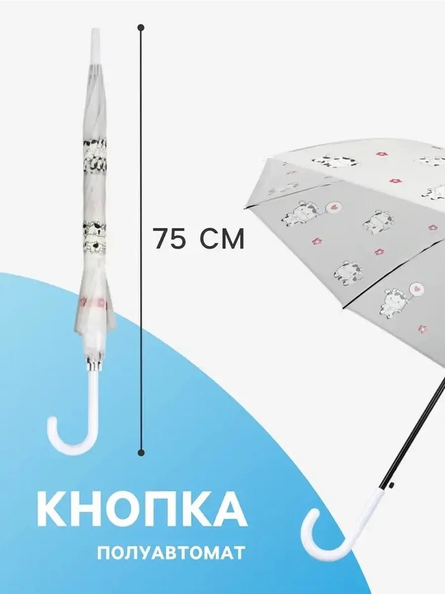 Зонт