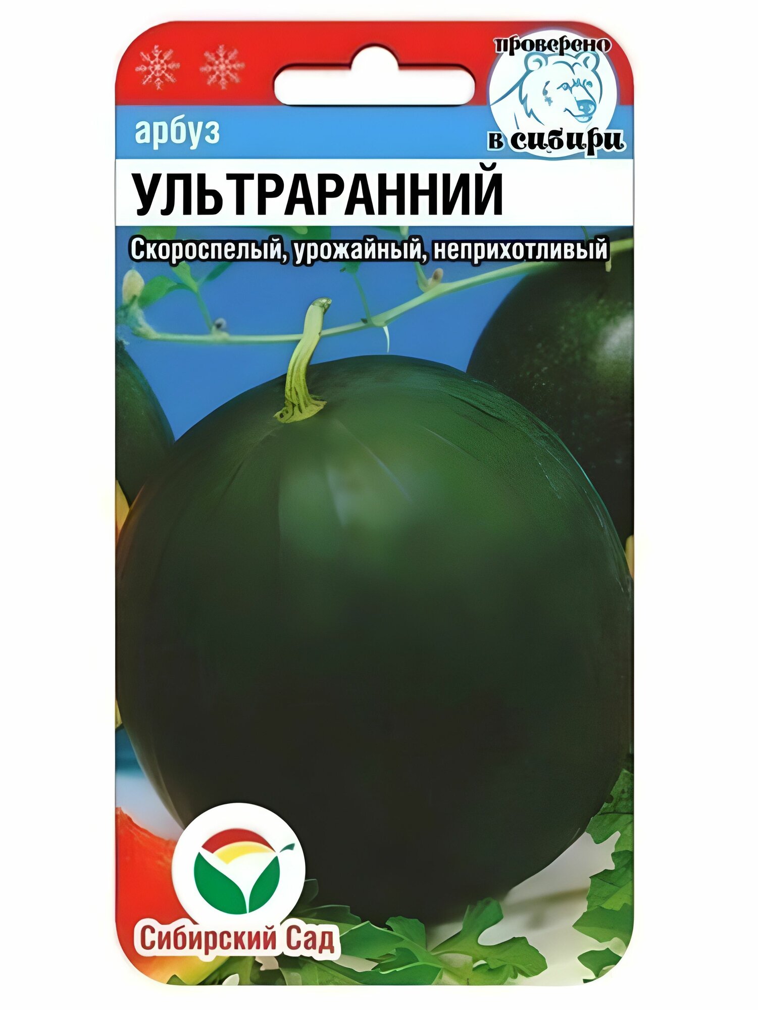 Арбуз Ультраранний 10 семян, Сибирский сад
