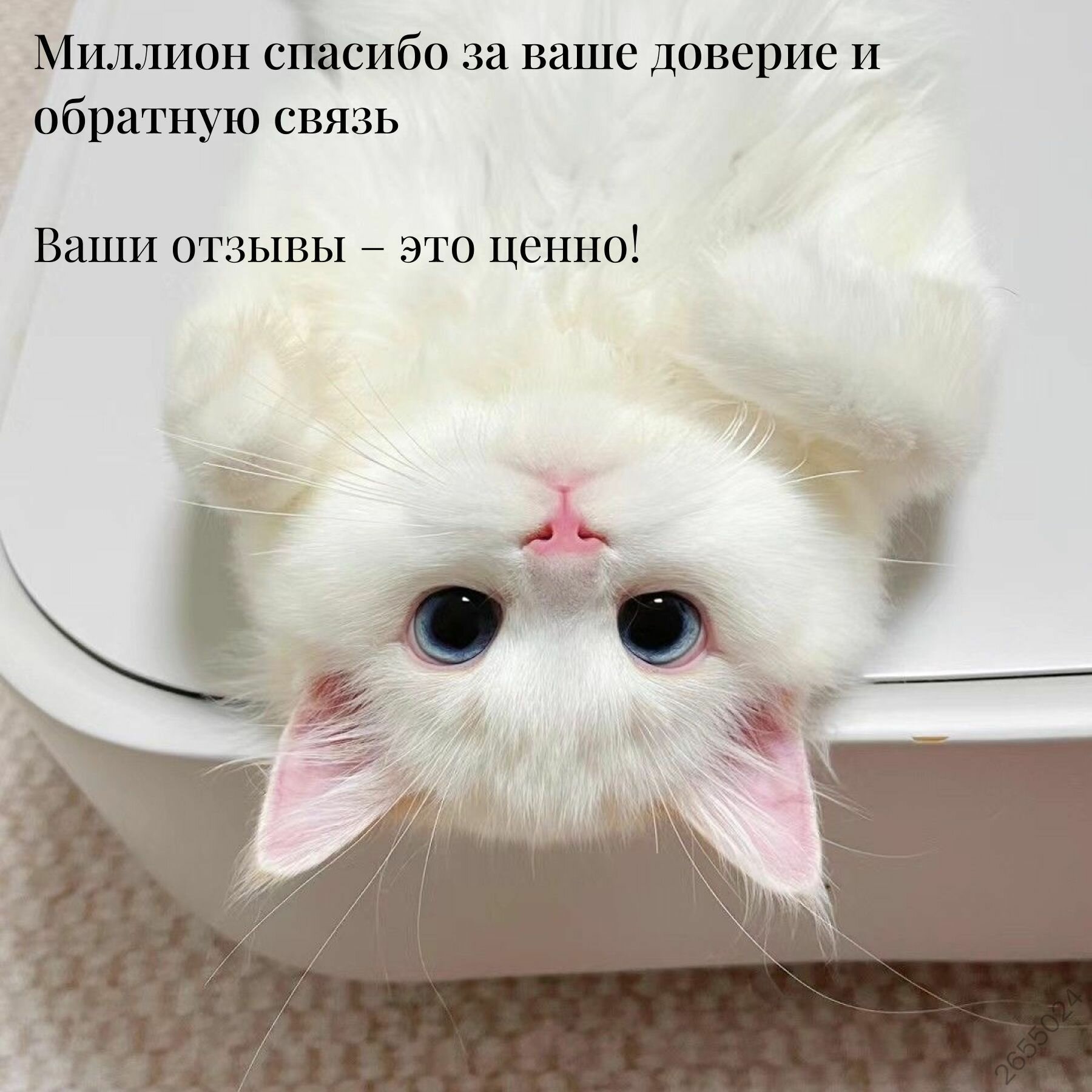 Садовый тент — фото 1