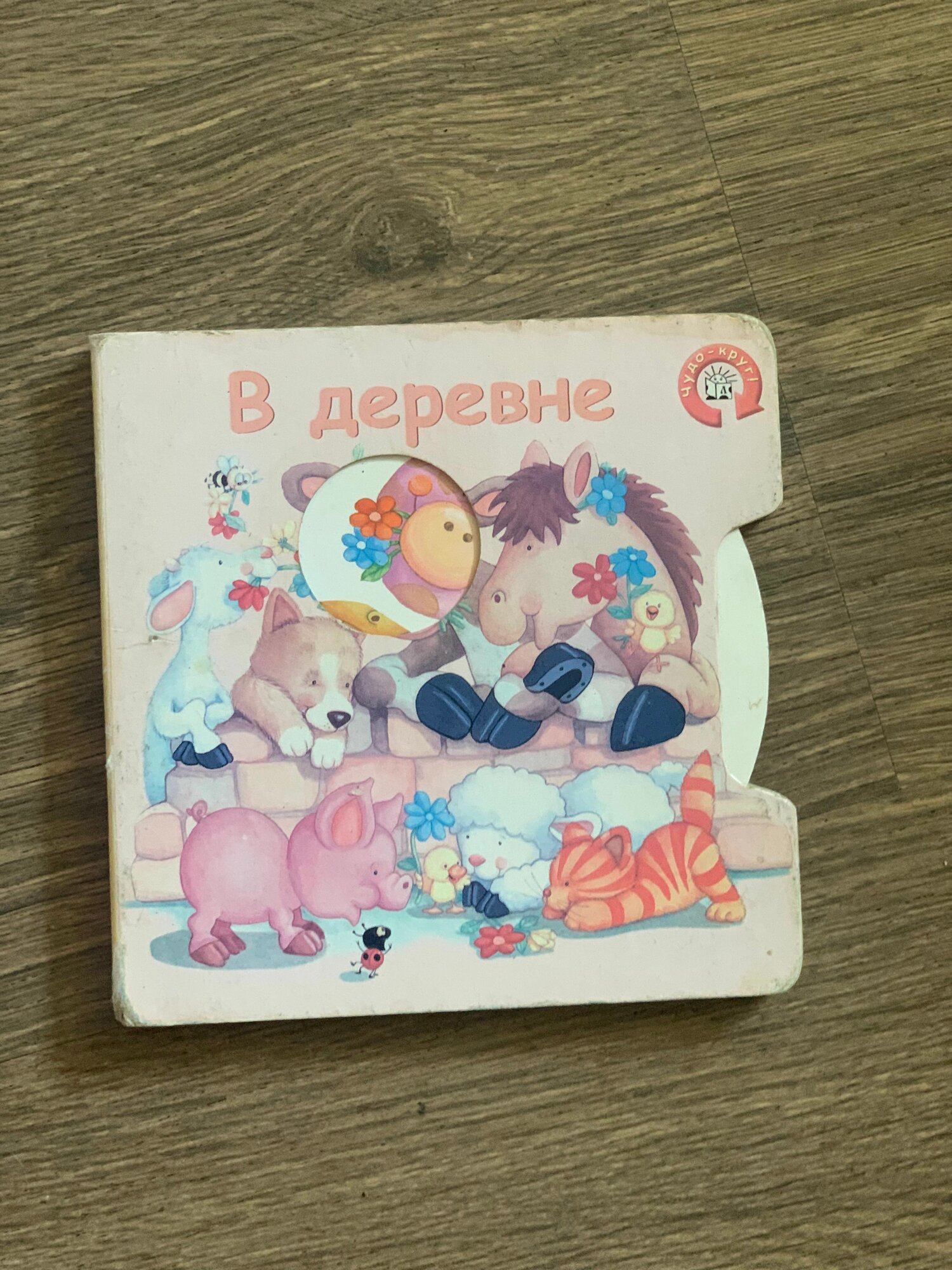 В деревне. Детская книга