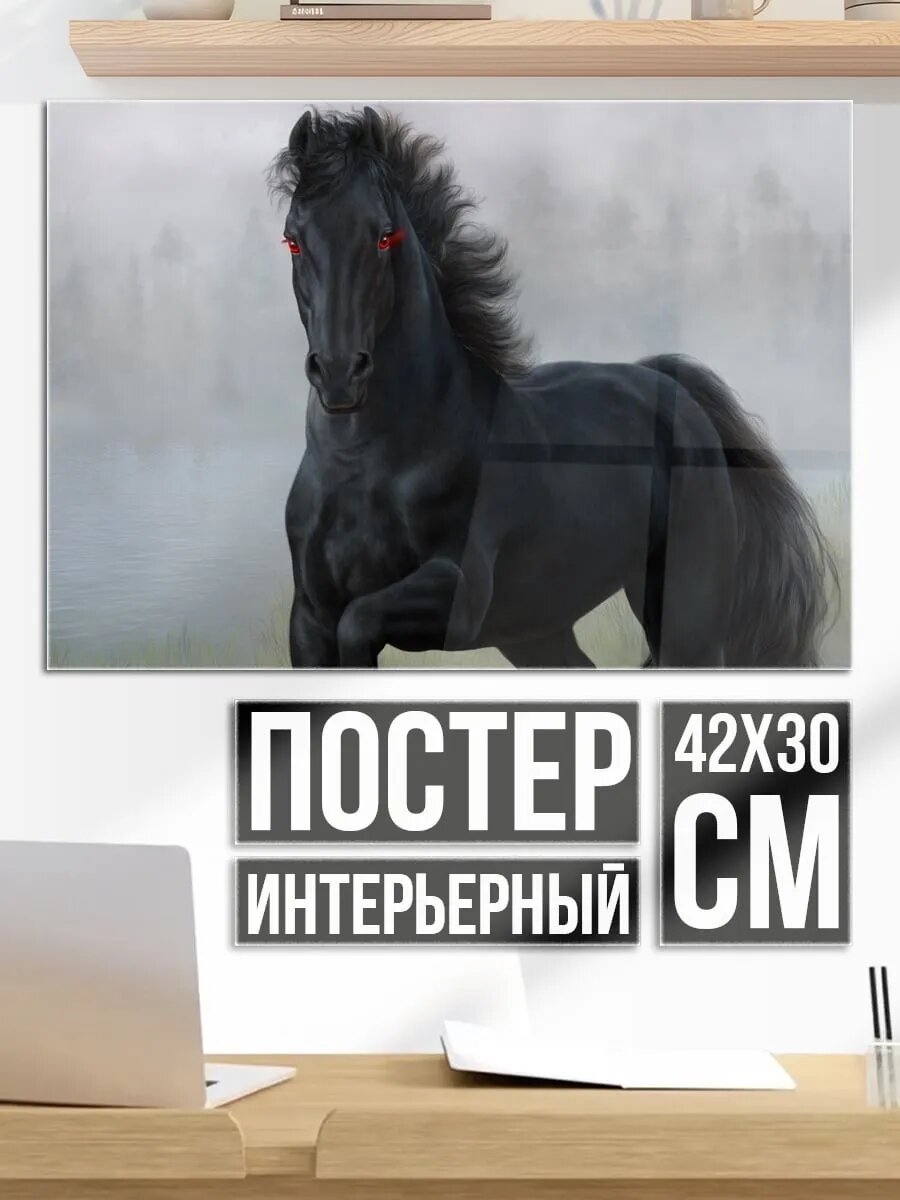 Плакат постер Черный конь в тумане