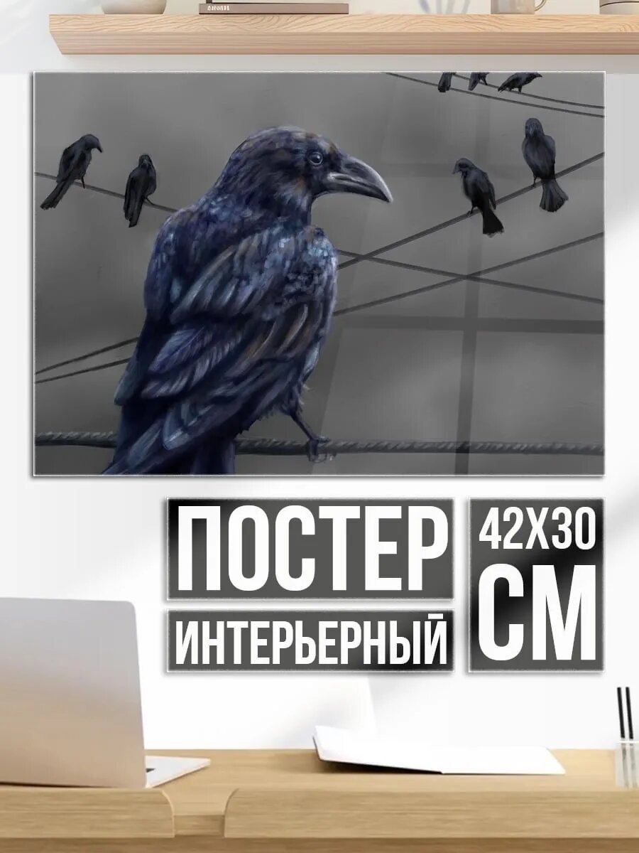 Плакат постер вороны на проводах