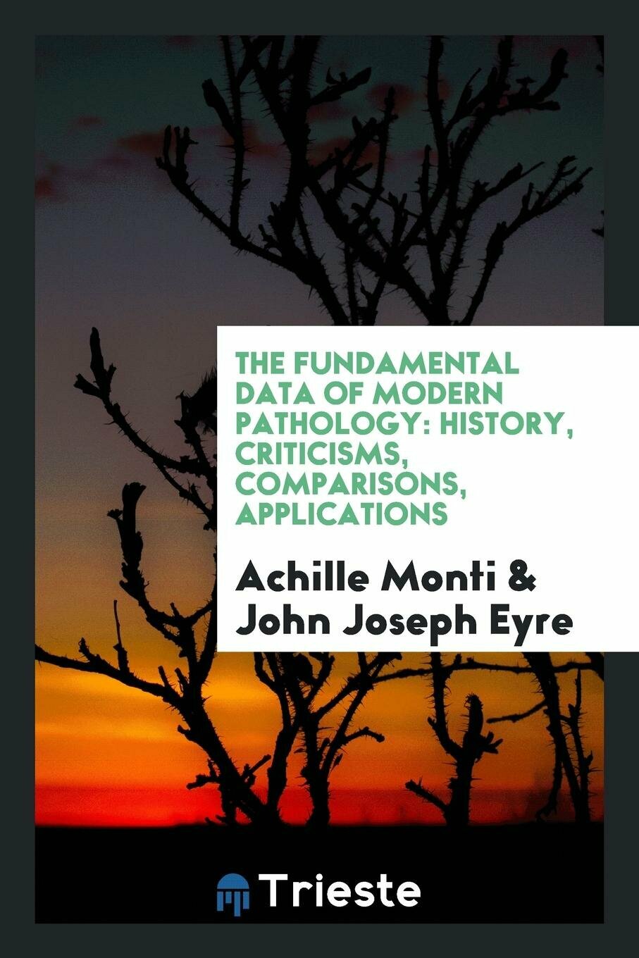 The Fundamental Data of Modern Pathology. History, Criticisms, Comparisons, Applications