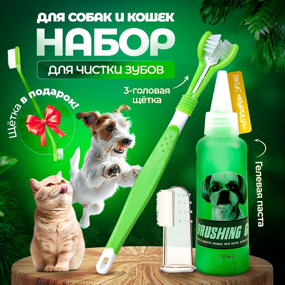 Зубной набор для ухода за ротовой полостью животных для собак и кошек