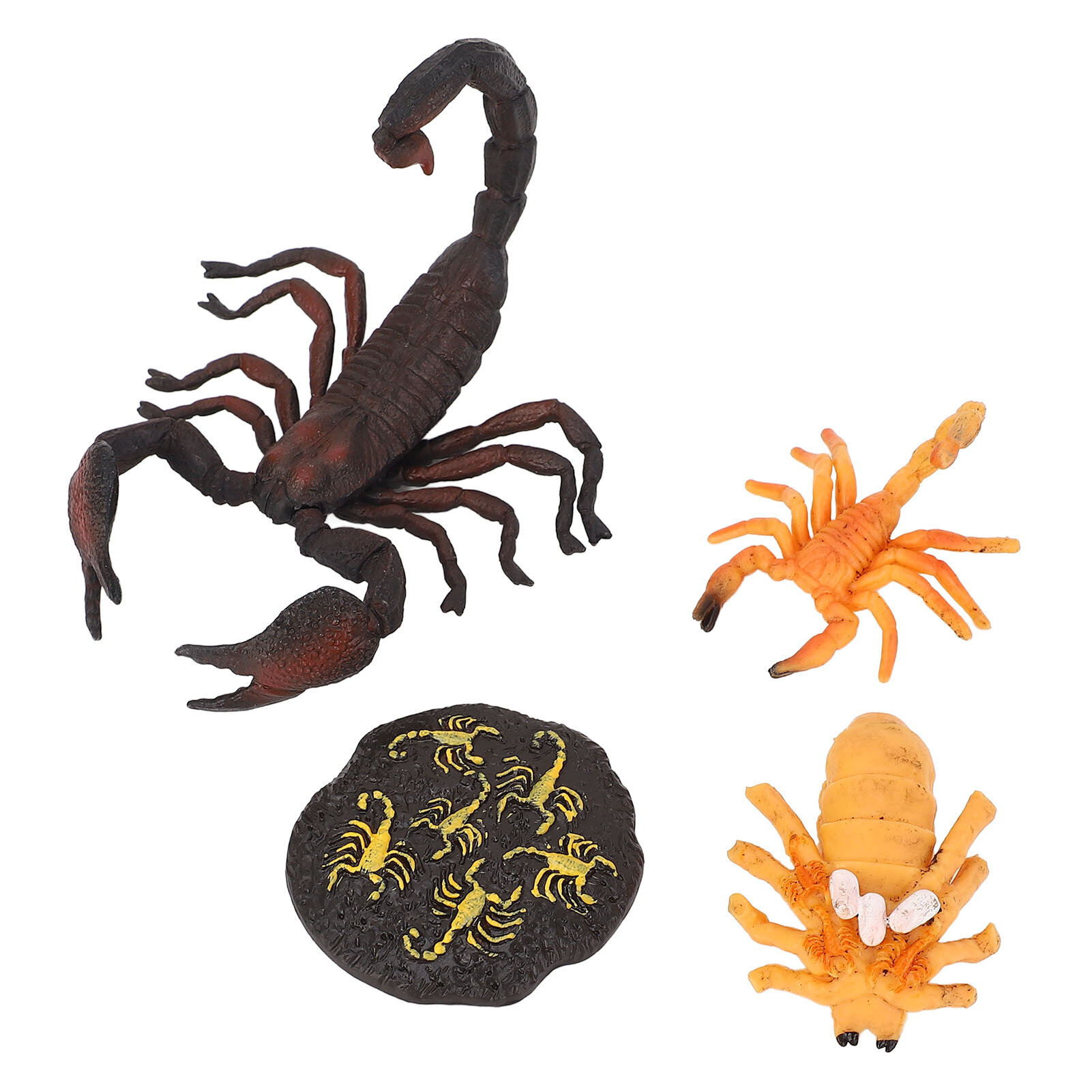 4 шт. Игрушечные модели животных "Скорпион" — этапы роста, развивающие игрушки для детей, познавательный цикл роста животных