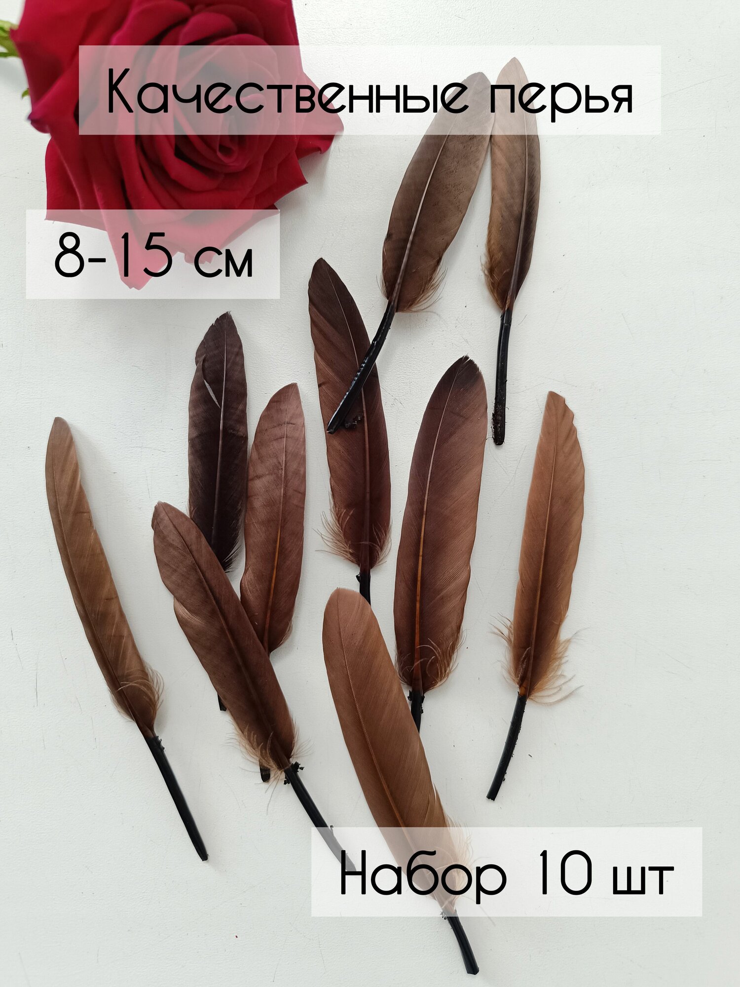 Гусиные перья. 10 шт. 8-15 см. Коричневые. Для декора и рукоделия. ПероМарго