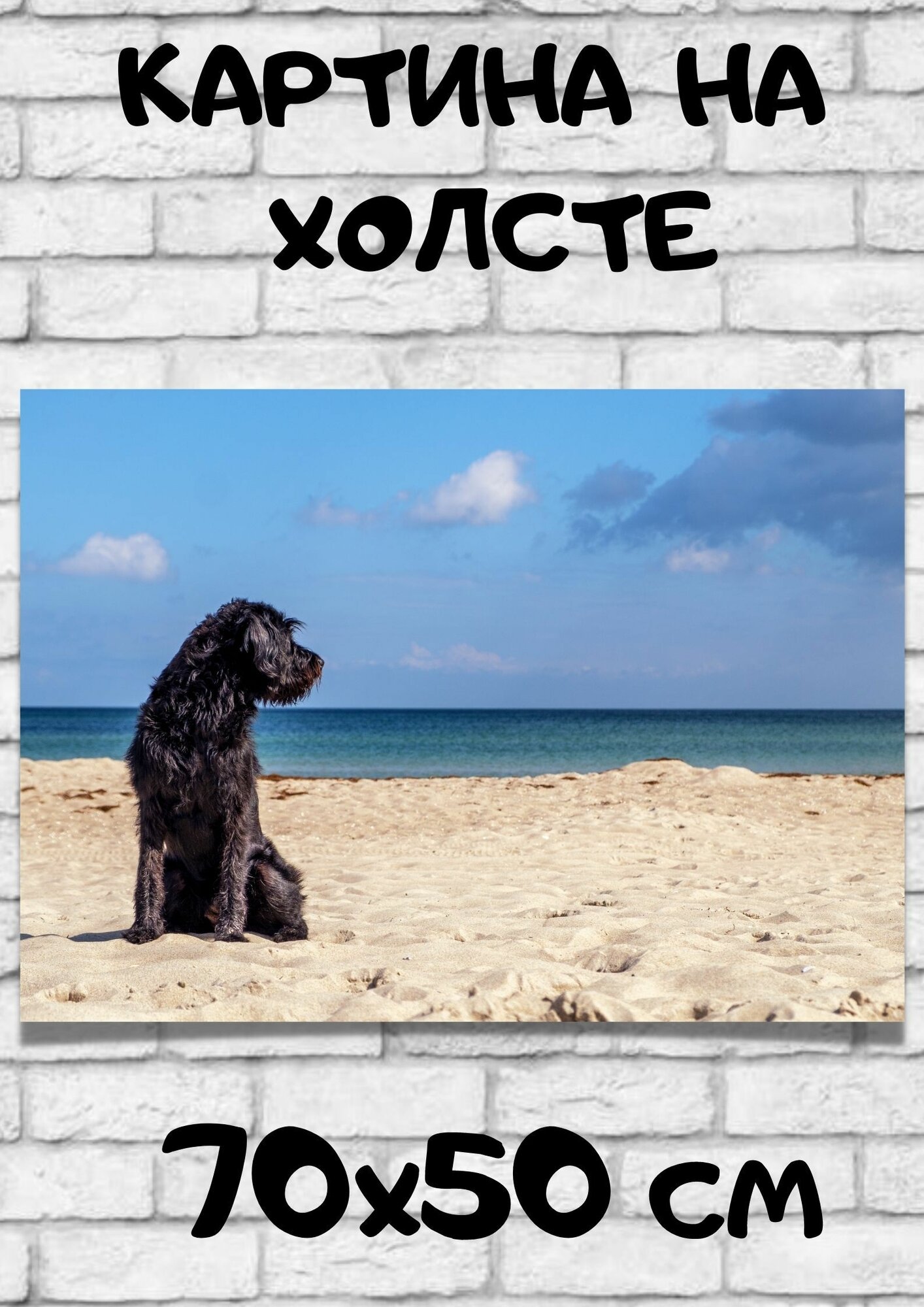 Картина с красивой собакой / Фотокартина для интерьера с псом