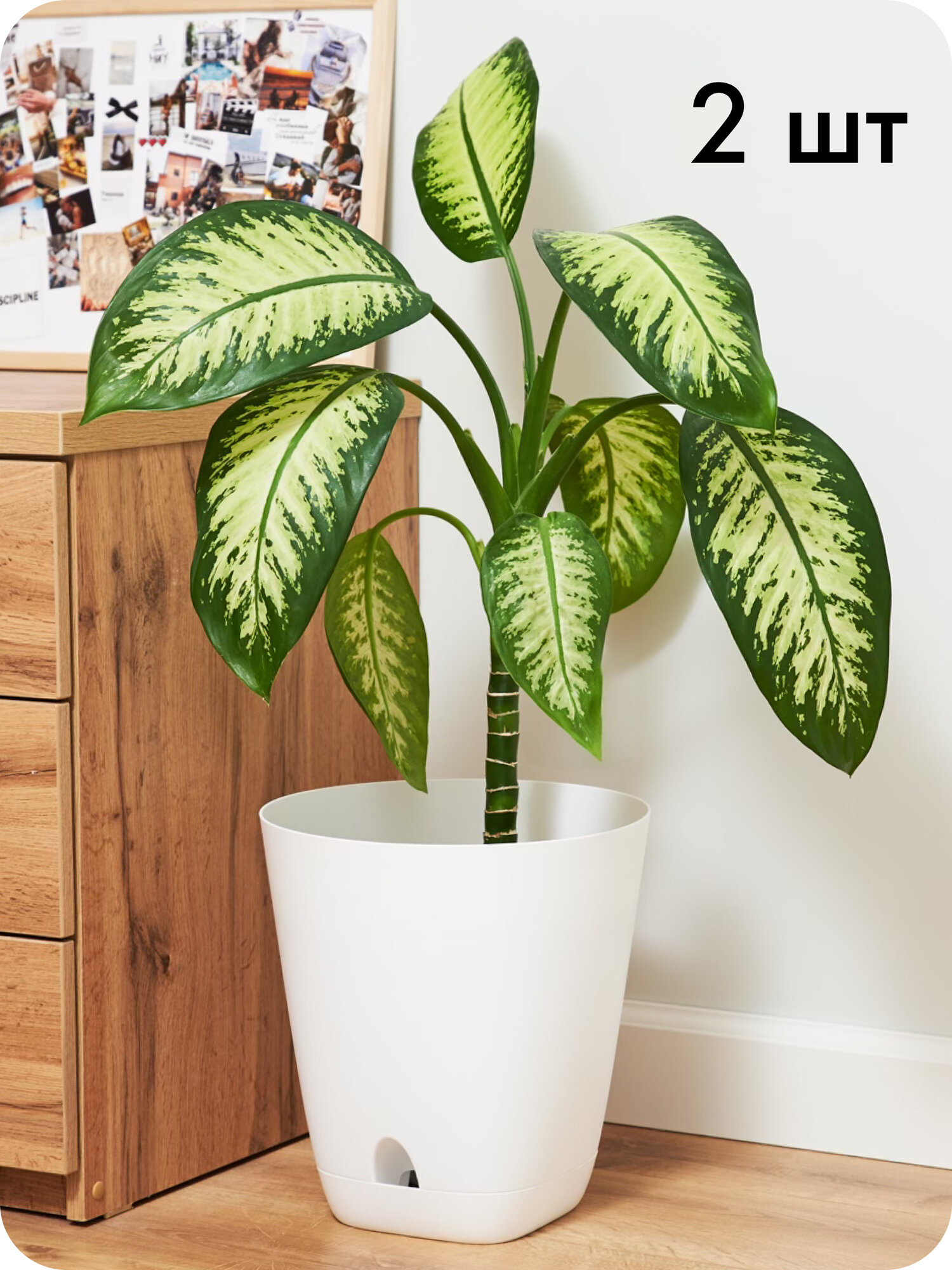 Набор горшков для цветов «Гранд», Альт-Пласт, 15лх2шт, белый, пластик