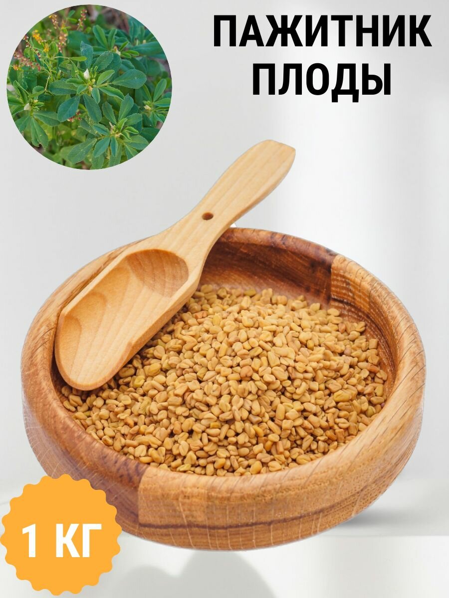 Пажитник плоды