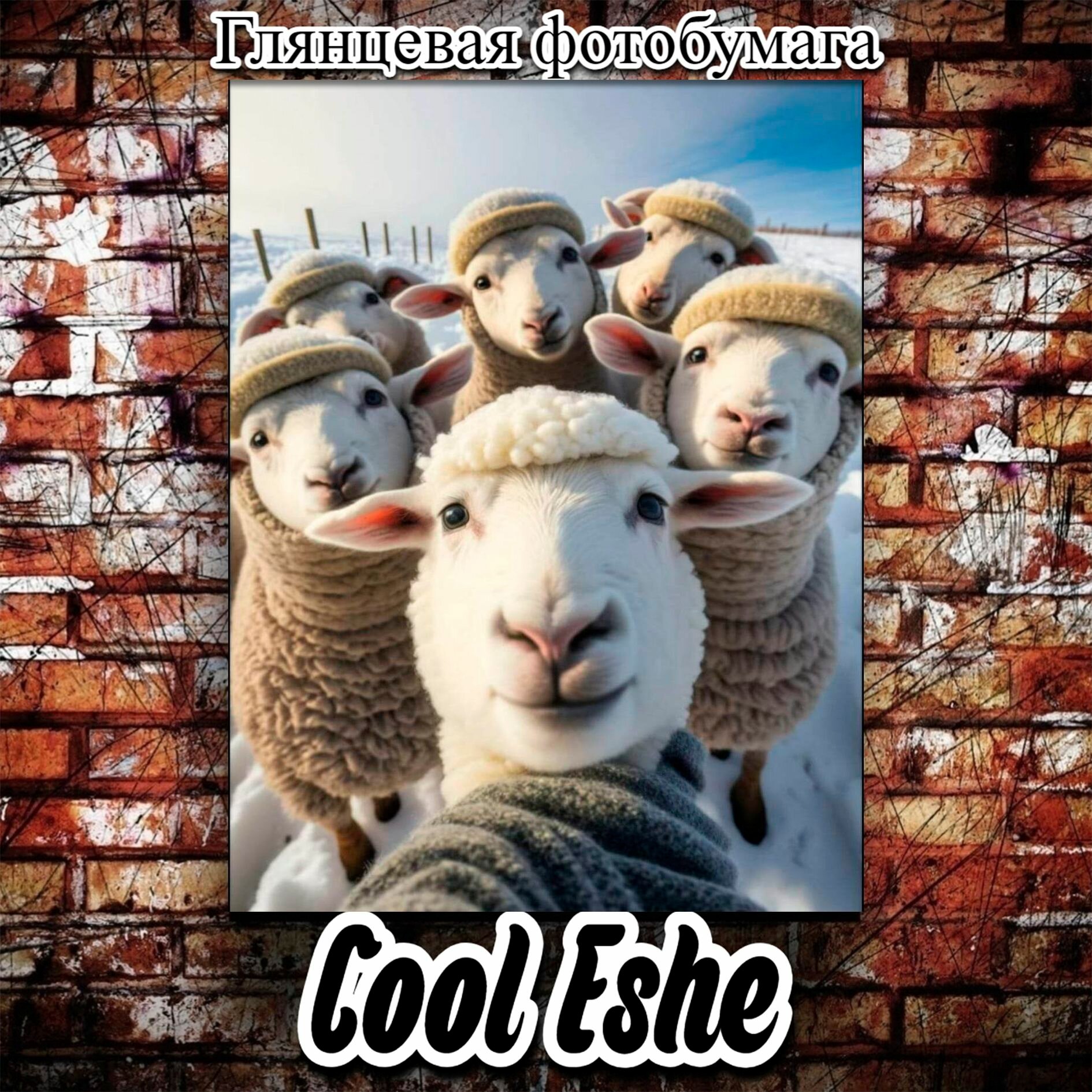 Постер "Баараны и овцы, селфи, зима" из коллекции "Приколы" А3