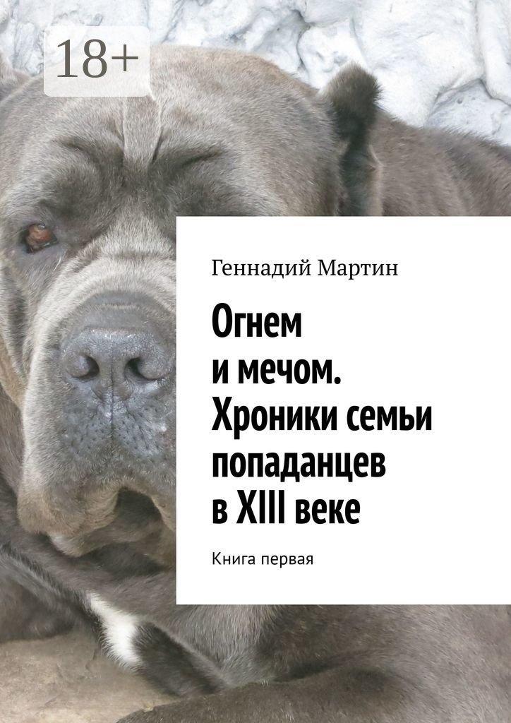 Огнем и мечом. Хроники семьи попаданцев в XIII веке