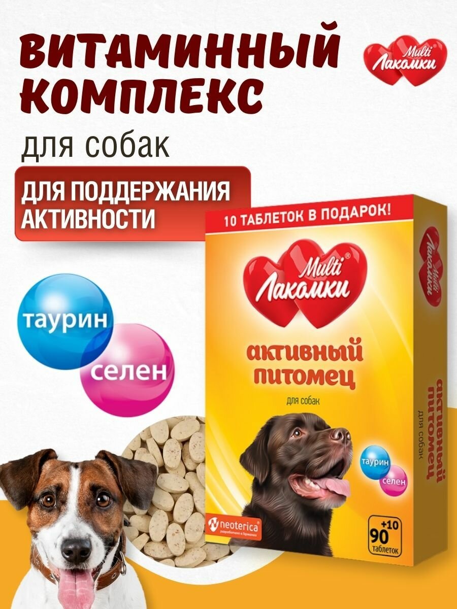 Витамины для собак MultiЛакомки лакомства Активный питомец 100 таблеток