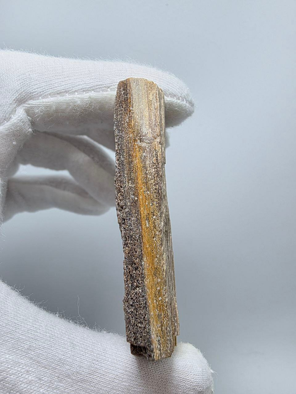 Окаменелое дерево 65 мм, 66 г.