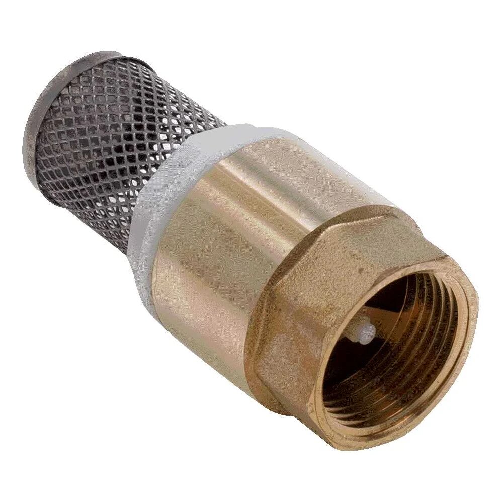 Обратный клапан с сеткой AQUALINK 1 2060 для забора рабочей