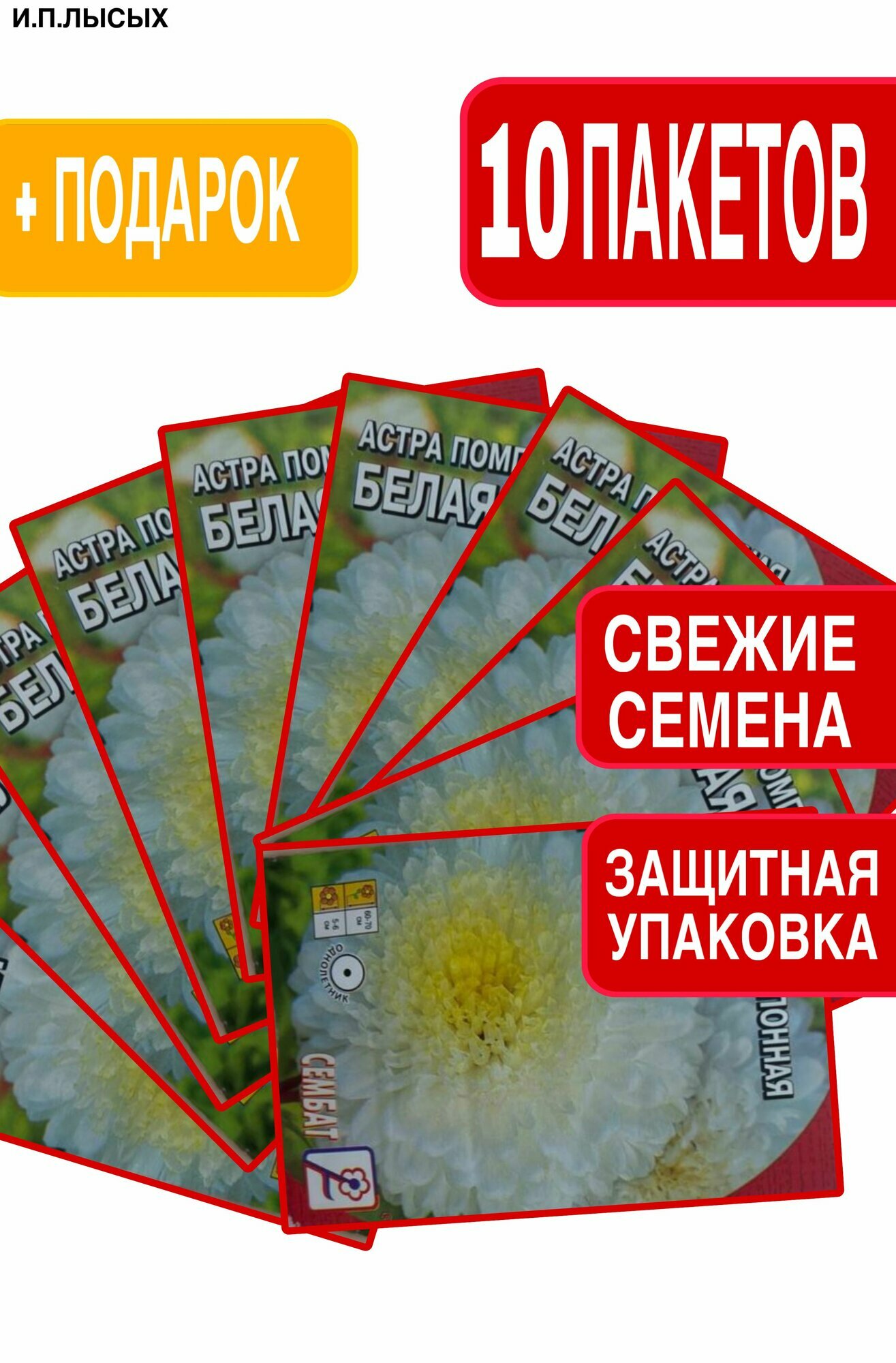 Семена Астра помпонная белая