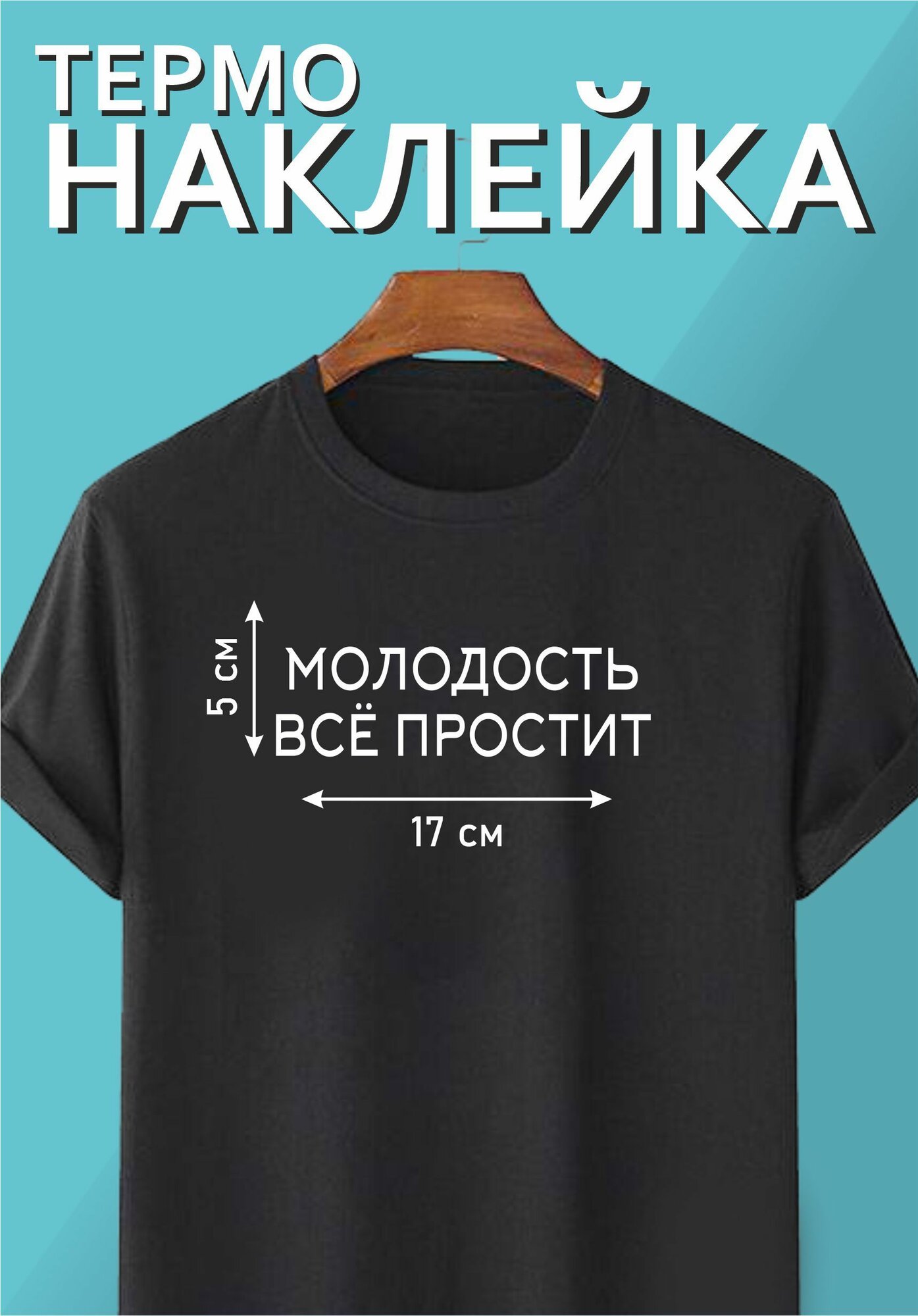Термонаклейка для одежды / надпись / заплатка "Молодость все простит"