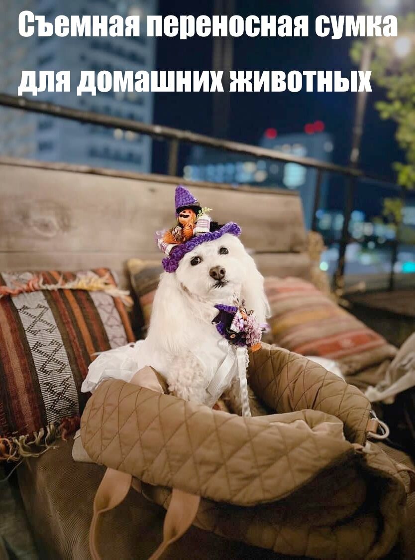Автокресло для животных — фото 1