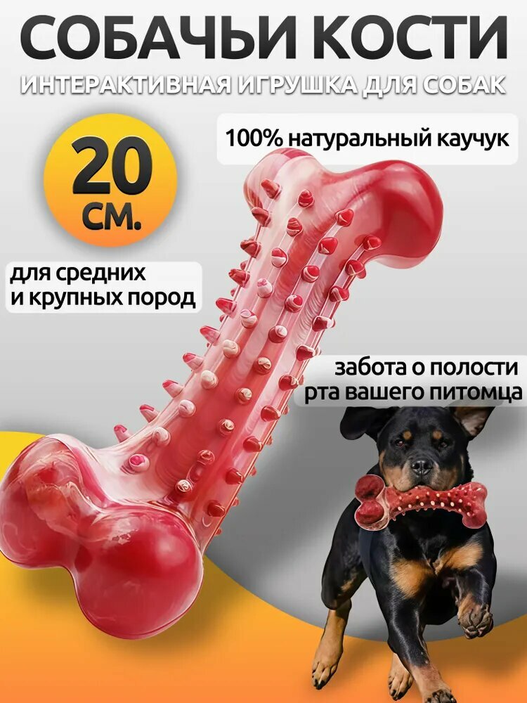 Игрушка для собак кость резиновая устойчивая к жеванию прорезывание зубов игрушка для домашних животных от скуки