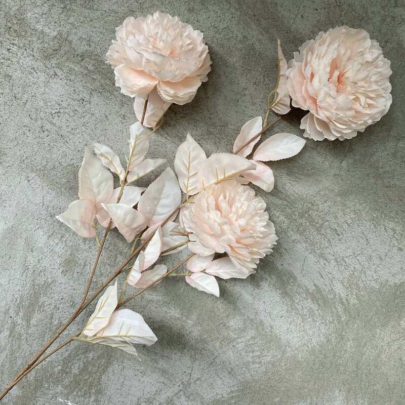 Букет пионов для фотосъемки реквизит свадебное оформление домашний декор отображение шампанское