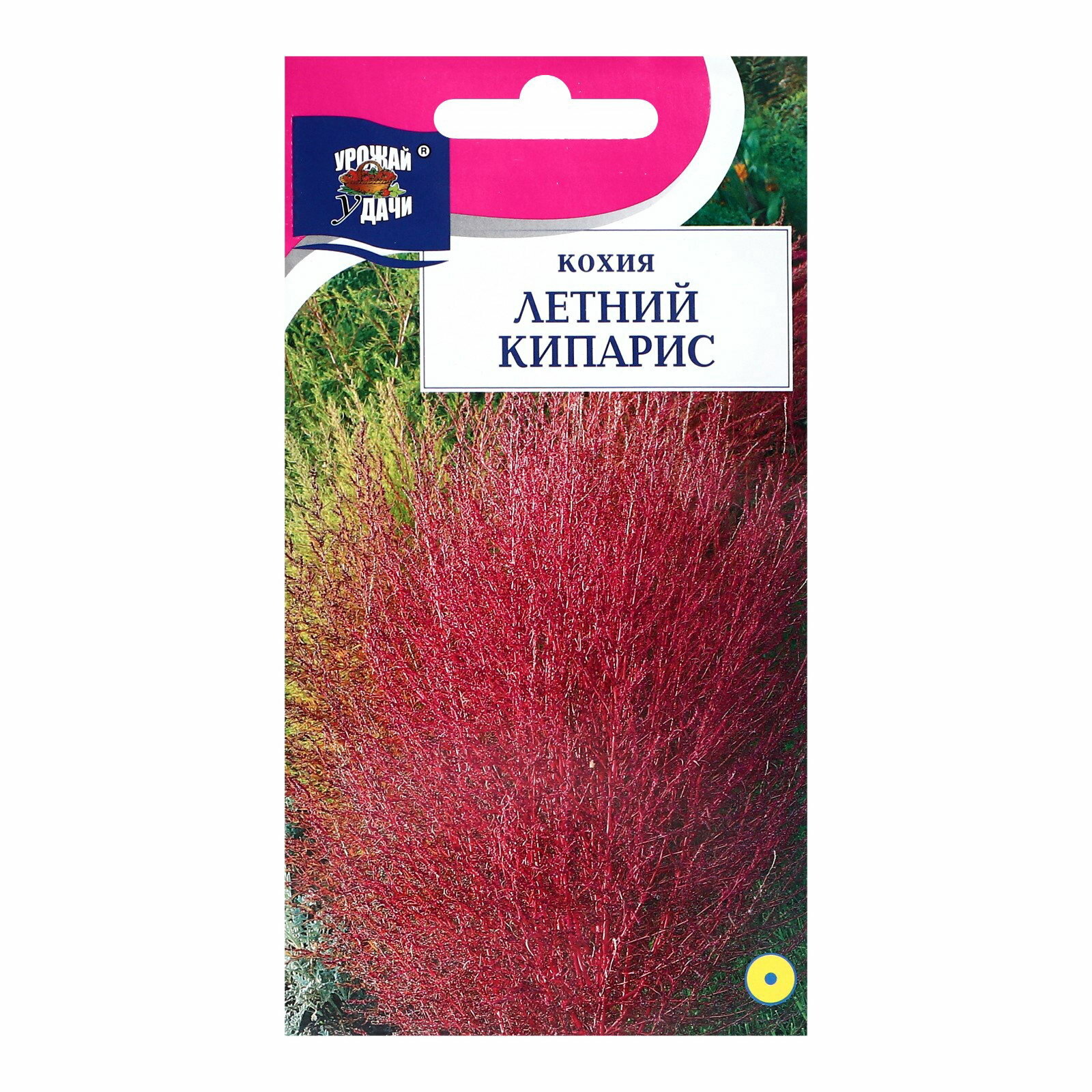 Семена цветов Кохия "Летний кипарис", 0.2г, цветение период: октябрь