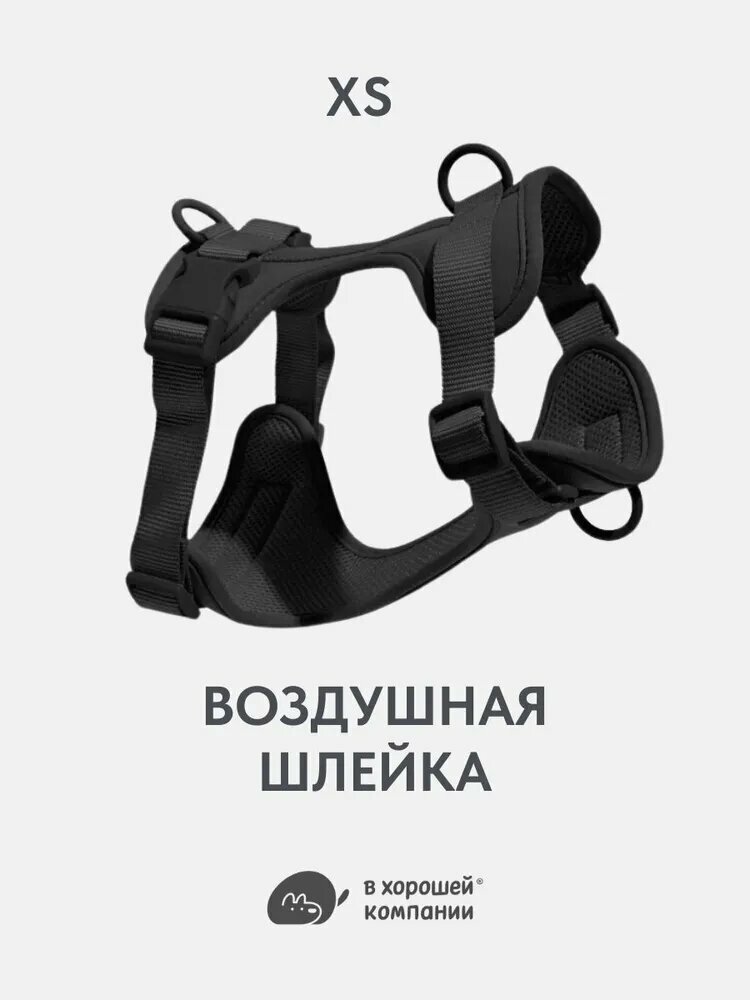 Анатомическая прогулочная шлейка с адресником для собак мелких пород и кошек IN GOOD COMPANY (XS / Дикий Черный)