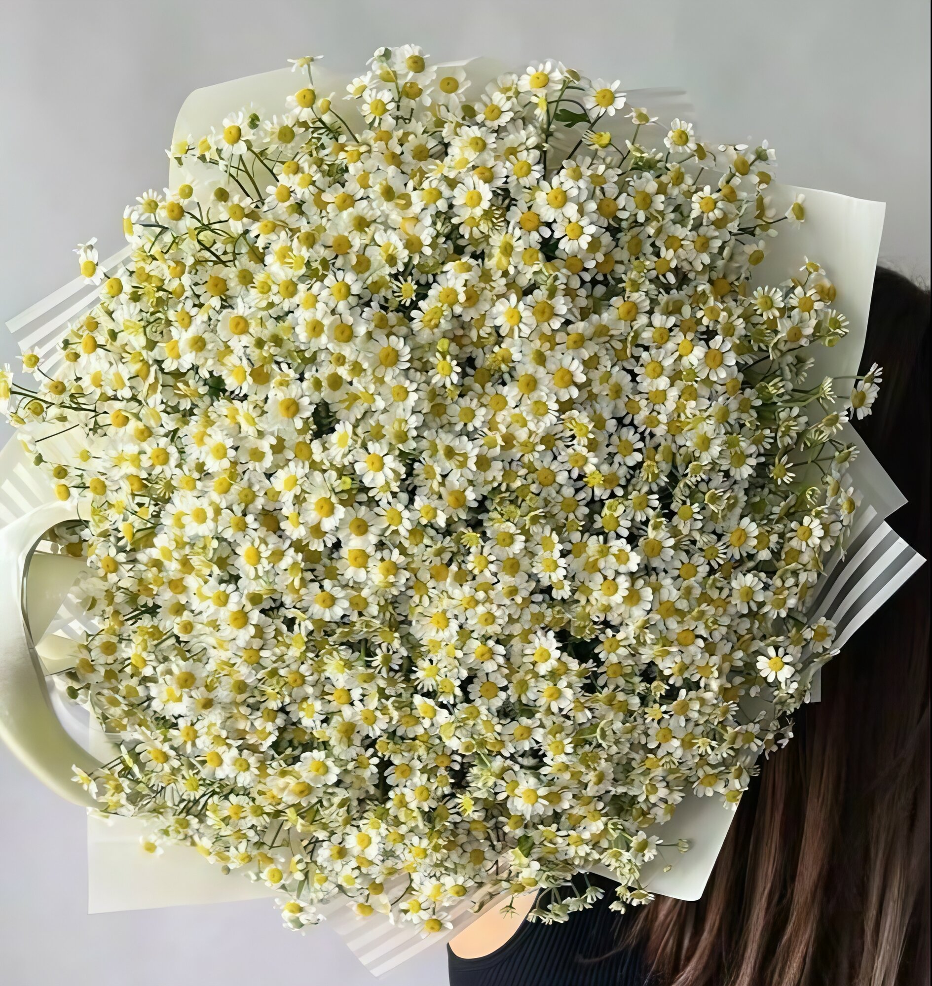 Букет из ромашек красивый букет цветов, шикарный, премиум цветы, премиум букет