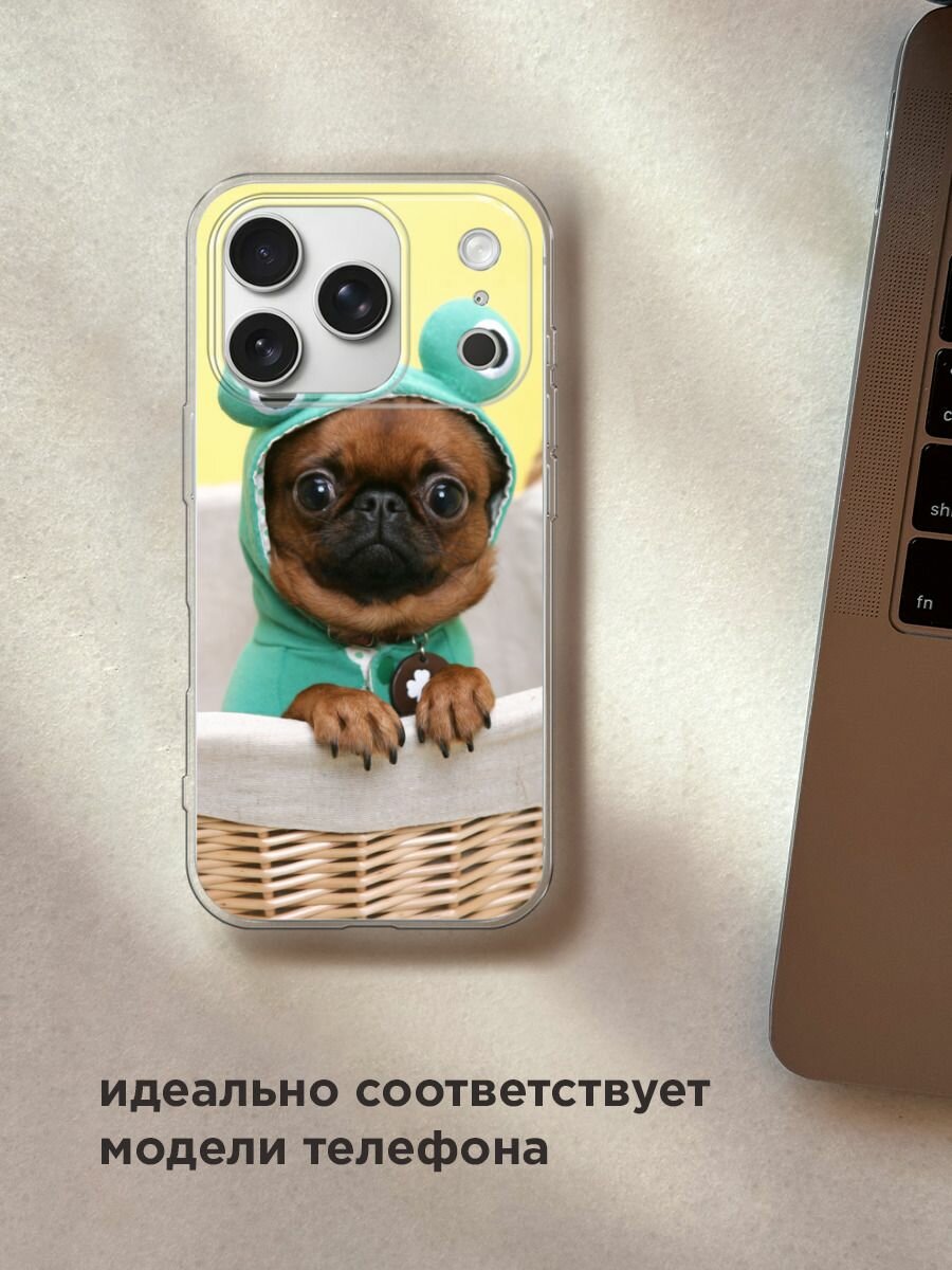 Чехол на Apple iPhone 17 Pro / Айфон 17 Про с принтом "Собачка в шапке лягушки" — фото 1