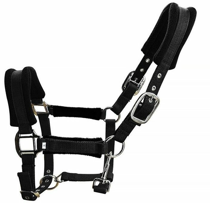 Уздечка для лошади