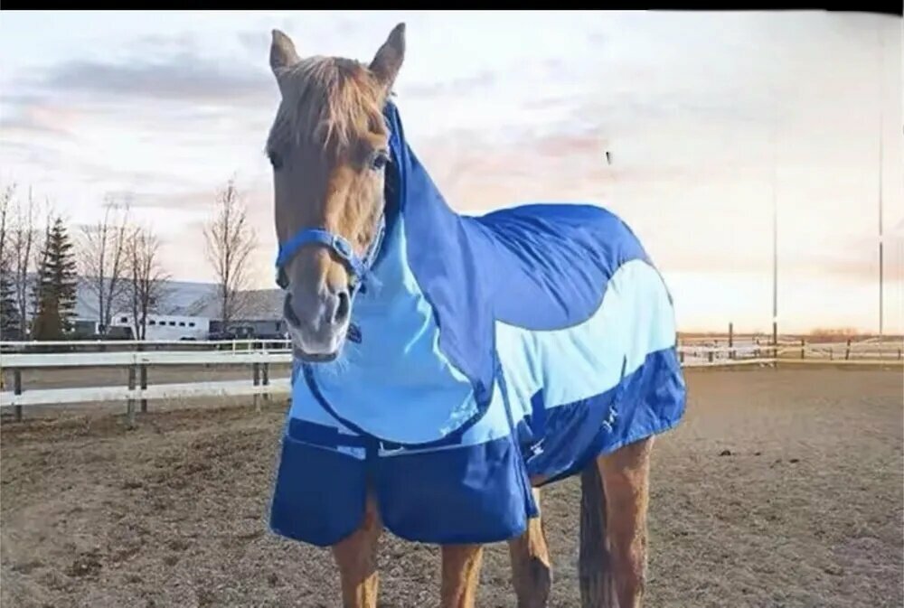 Попона для лошади с пришитым капором, 900D водонепроницаемый, размер 145cm
