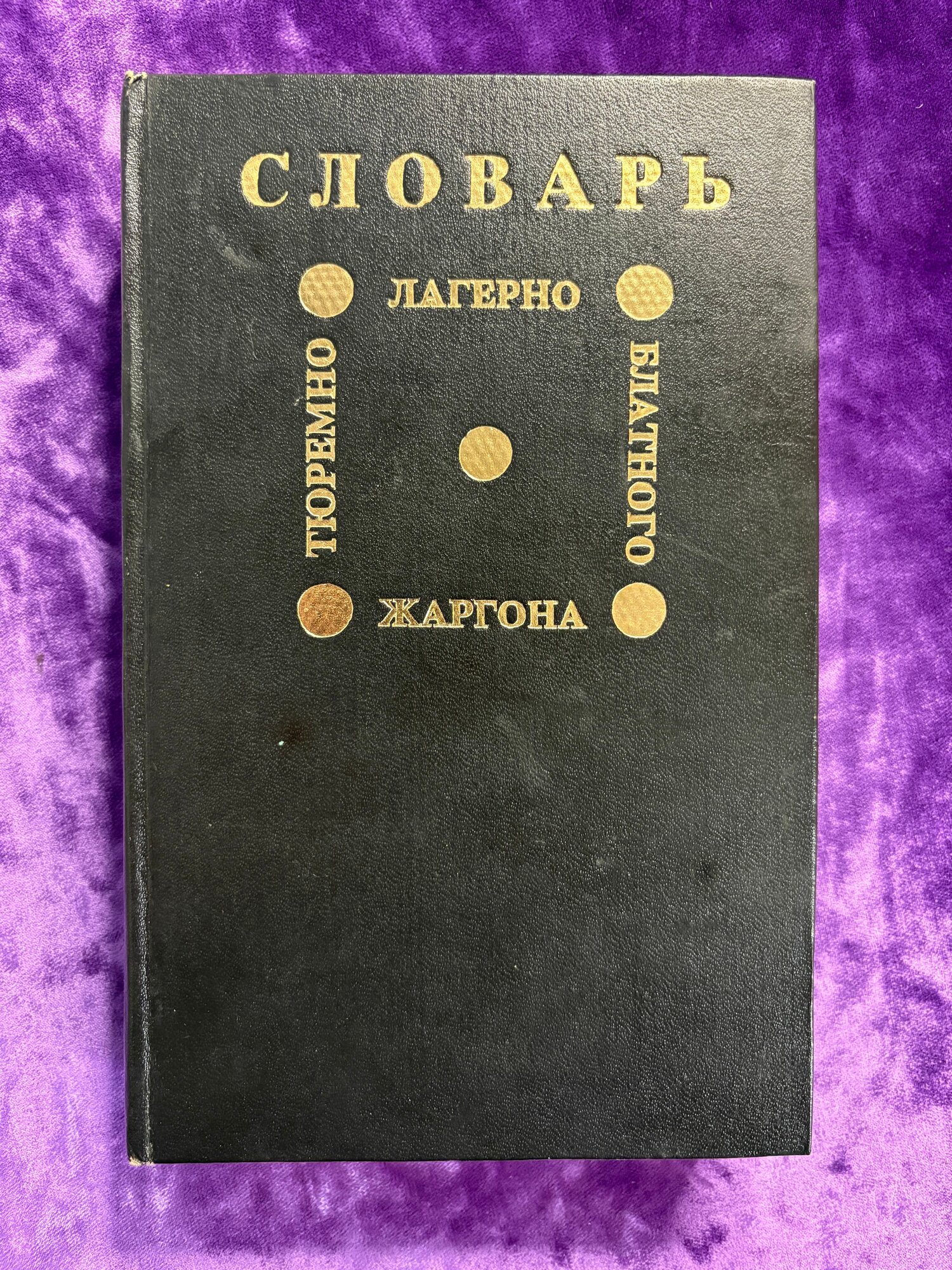 Словарь тюремно-лагерно-блатного жаргона. Речевой и графический портрет советской тюрьмы